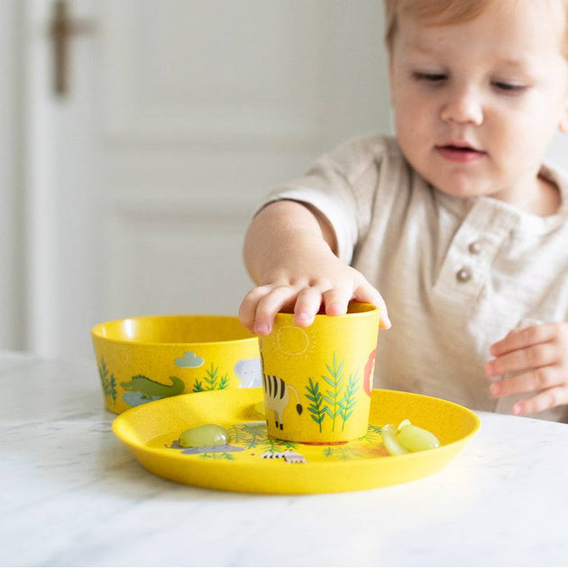 Buy Decanters & Carafes at Modern Quests