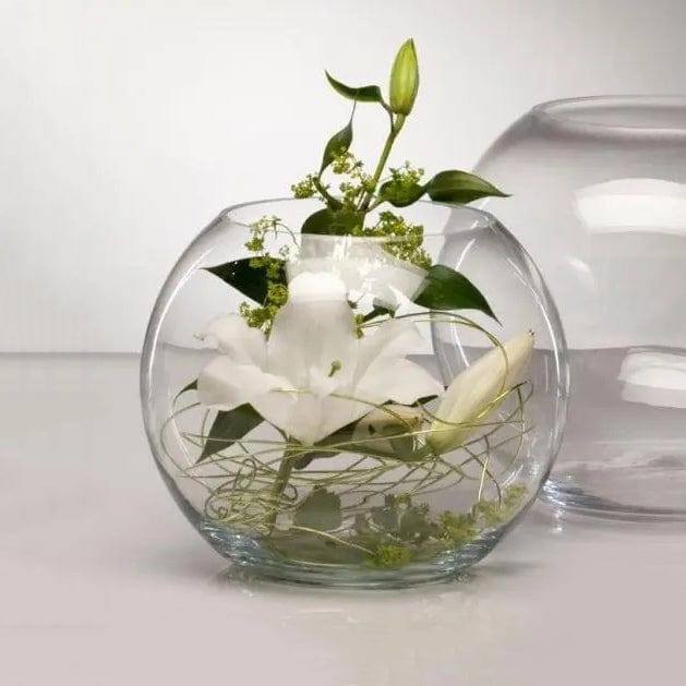 Pasabahce Botanica Glass Vase - Sphere | Modern Quests