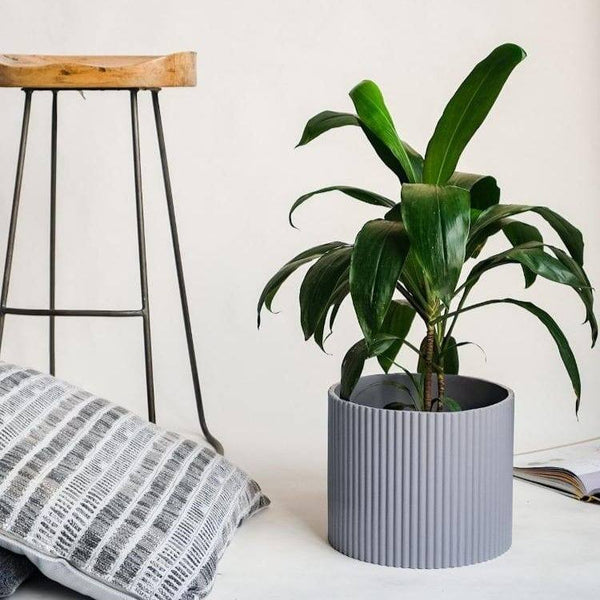 Shop Pots & Planters at Modern Quests