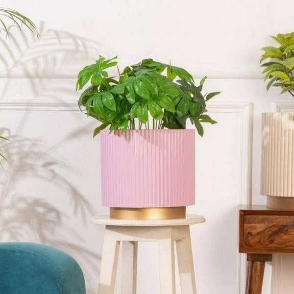 Shop Pots & Planters at Modern Quests
